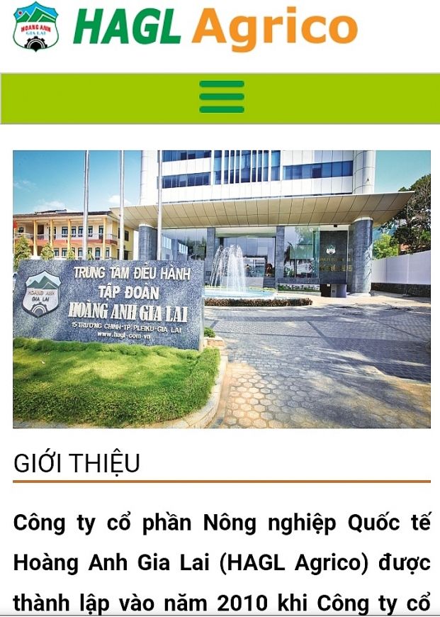 HAGL Agrico ghi nhận mức lỗ lũy kế hơn 3000 tỷ đồng